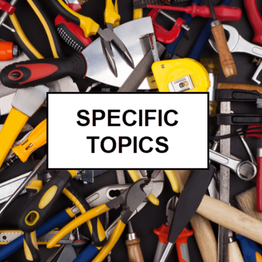 Session 8: Specific Topics